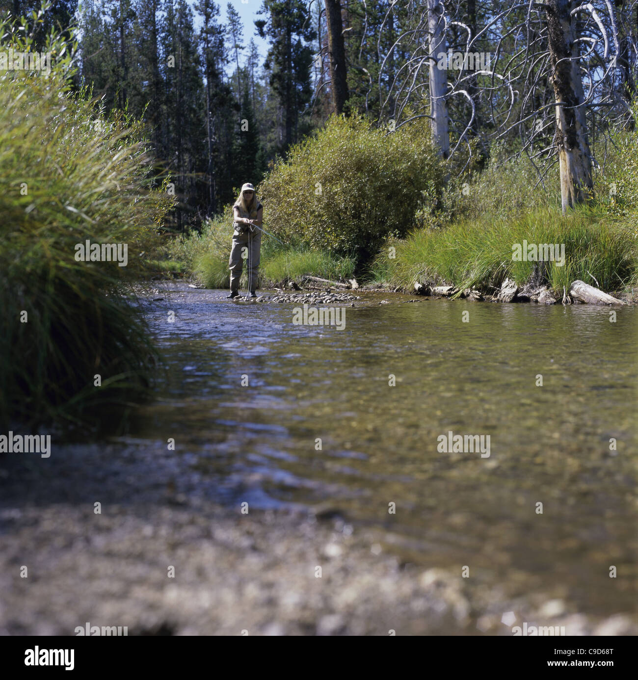 Stanley river hi-res stock photography and images - Alamy