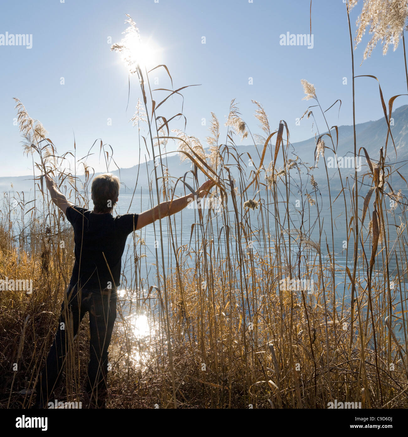 Italy, Piedmont, Lake Maggiore, Man pulling back rush at lake edge ...