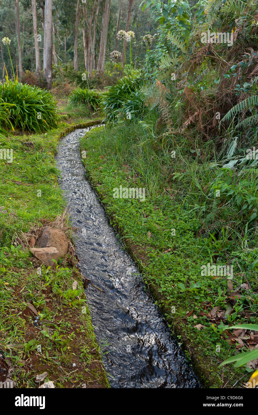 Levadas - Madeira, Portugal, Europe Stock Photo - Alamy