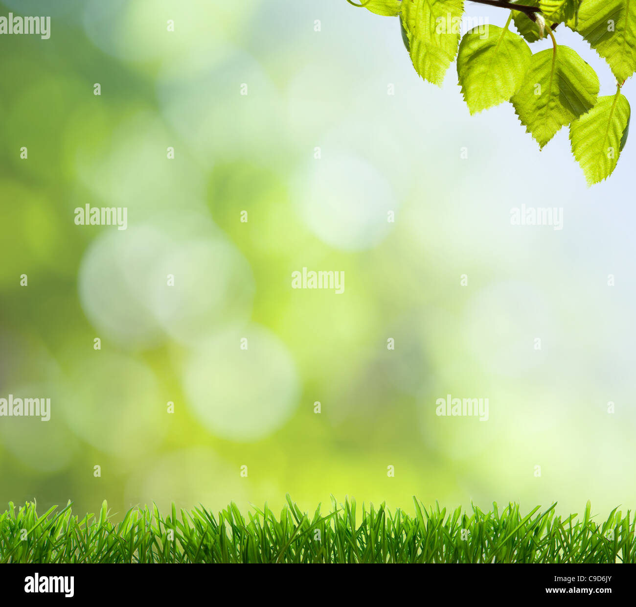 natural green background with selective focus Stock Photo - Alamy