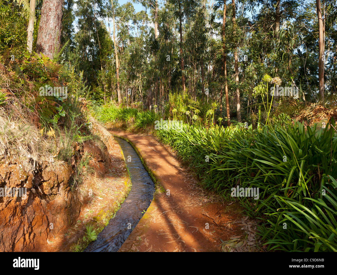 Levadas - Madeira, Portugal, Europe Stock Photo - Alamy
