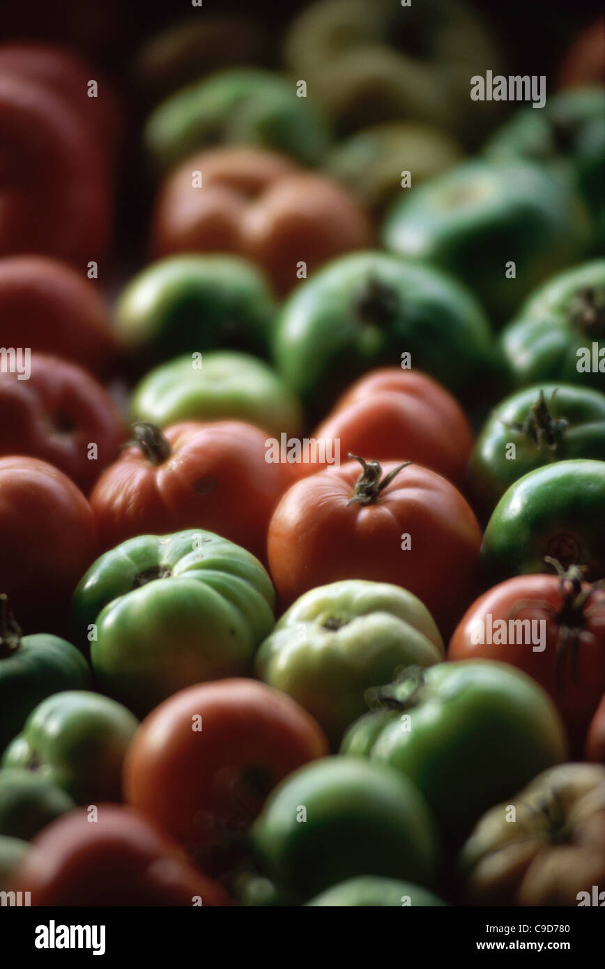 Close-up of tomatoes Stock Photo - Alamy