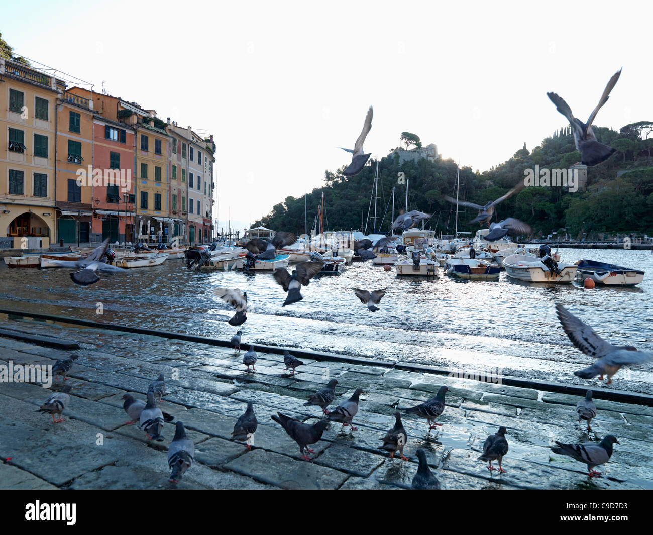Flying Boat Italy High Resolution Stock Photography and Images - Alamy