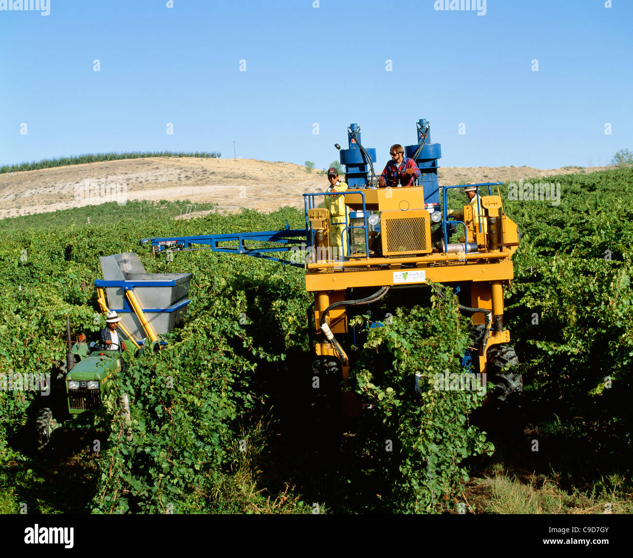 Combine mechanical grape harvester hi-res stock photography and images - Alamy