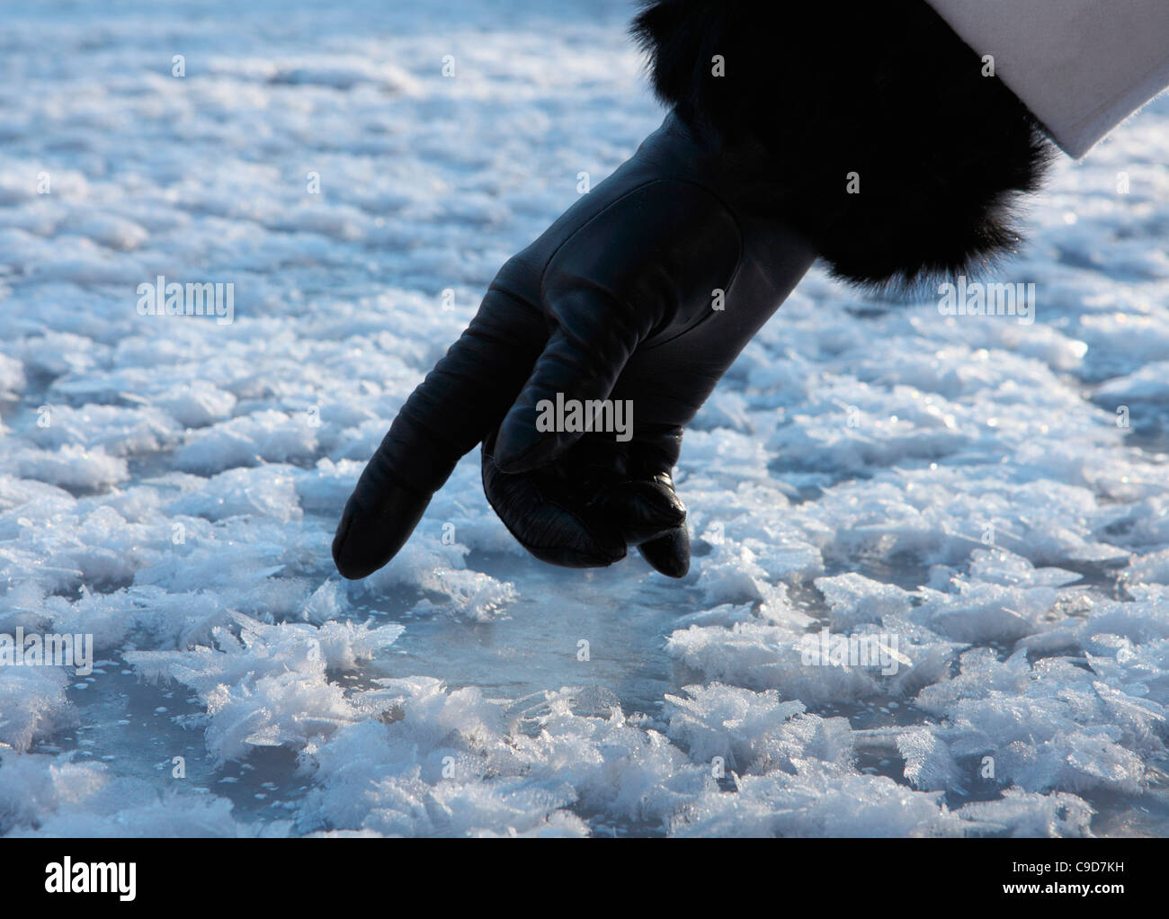 Canada, Alberta, close up of woman's gloved finger touching ice ...