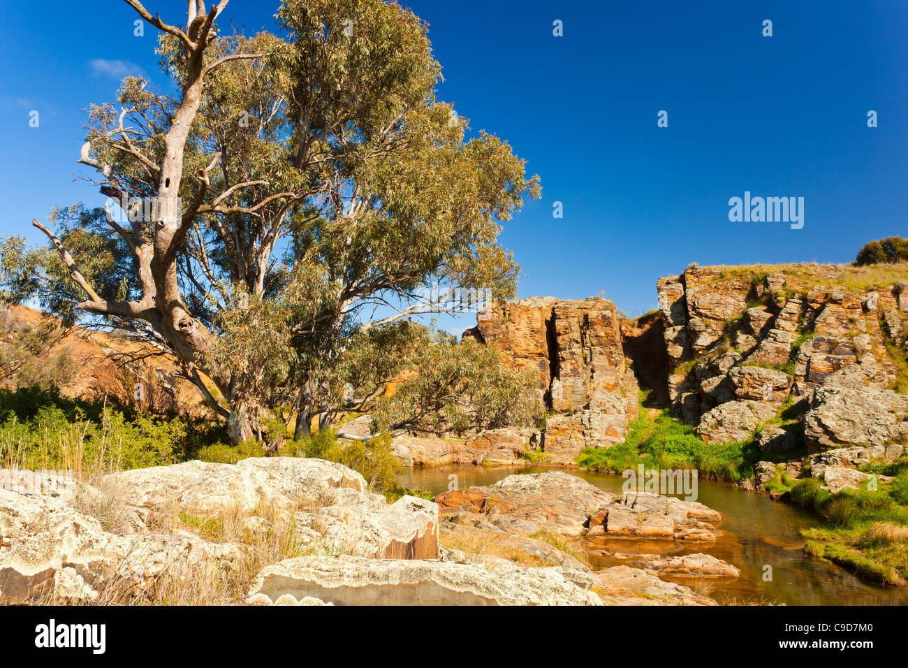 Appila Springs near Jamestown in the mid north of South Australia Stock ...