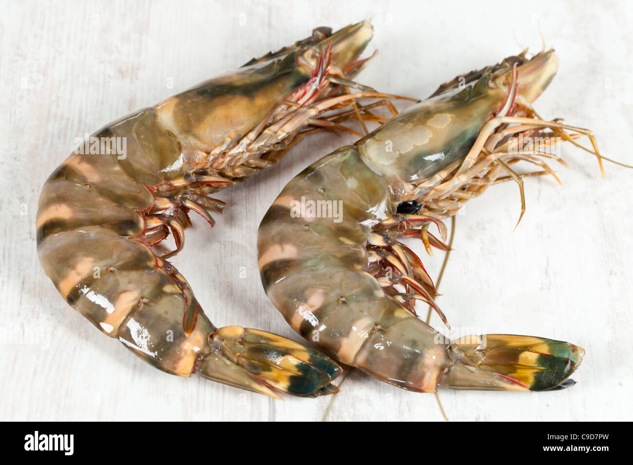 Fresh raw big prawn on hi-res stock photography and images - Alamy