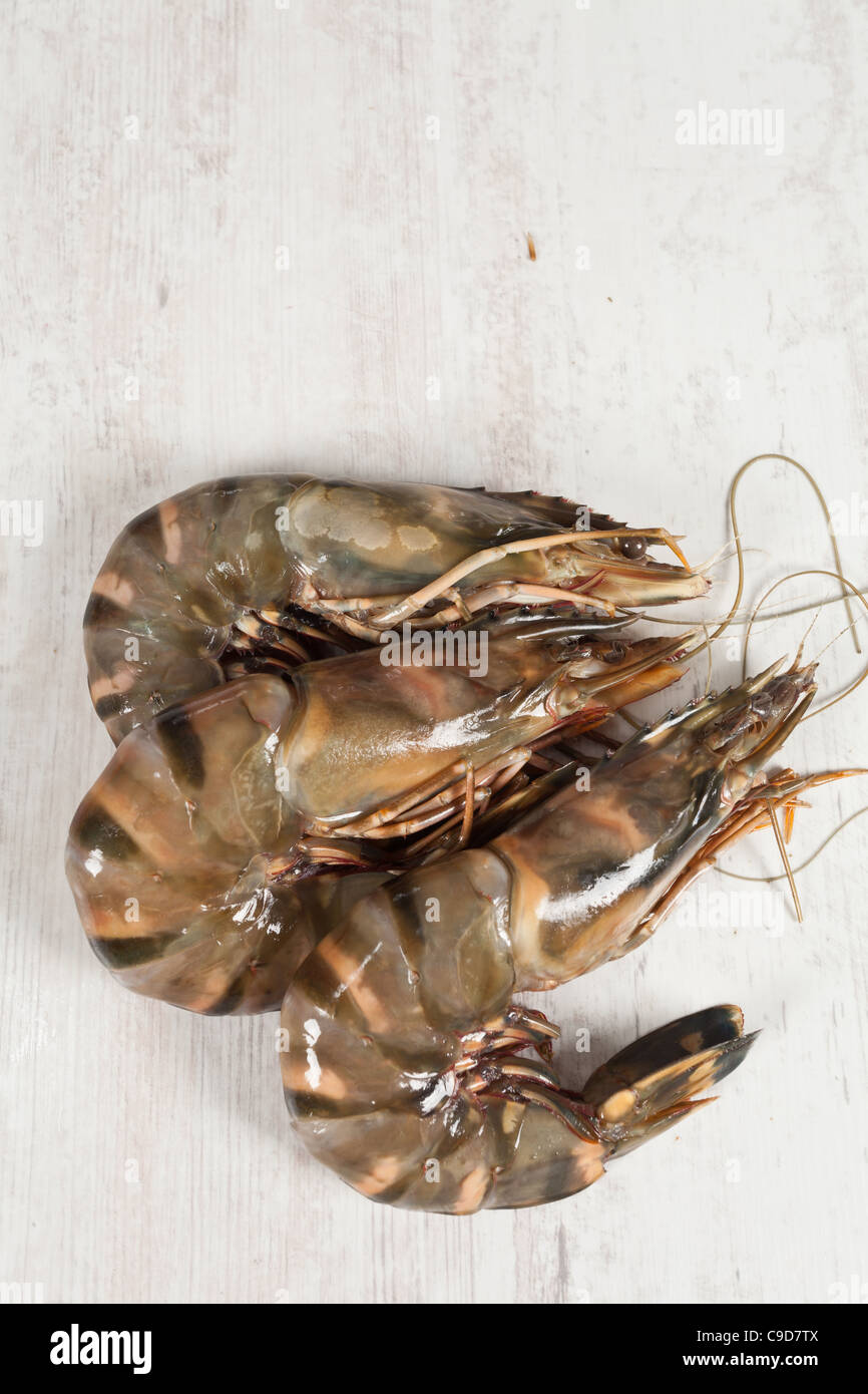 Fresh raw big prawn on wooden background Stock Photo - Alamy