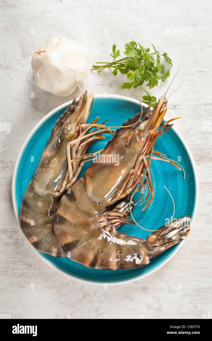 Fresh raw big prawn on a blue plate Stock Photo - Alamy