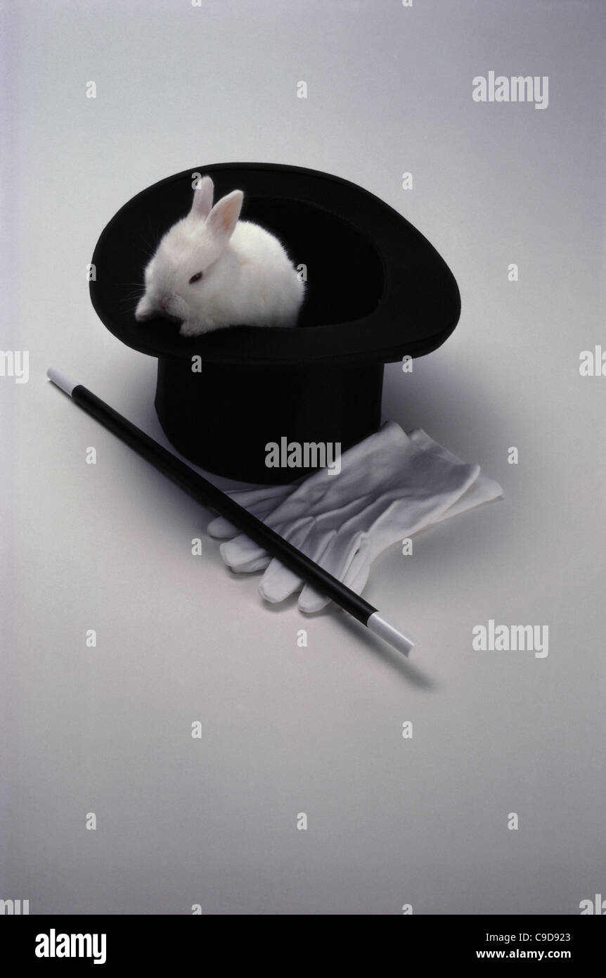 Rabbit top hat hi-res stock photography and images - Alamy