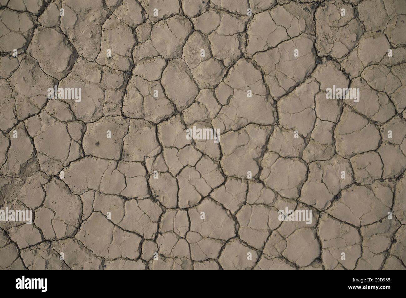 Cracked mud floor hi-res stock photography and images - Alamy
