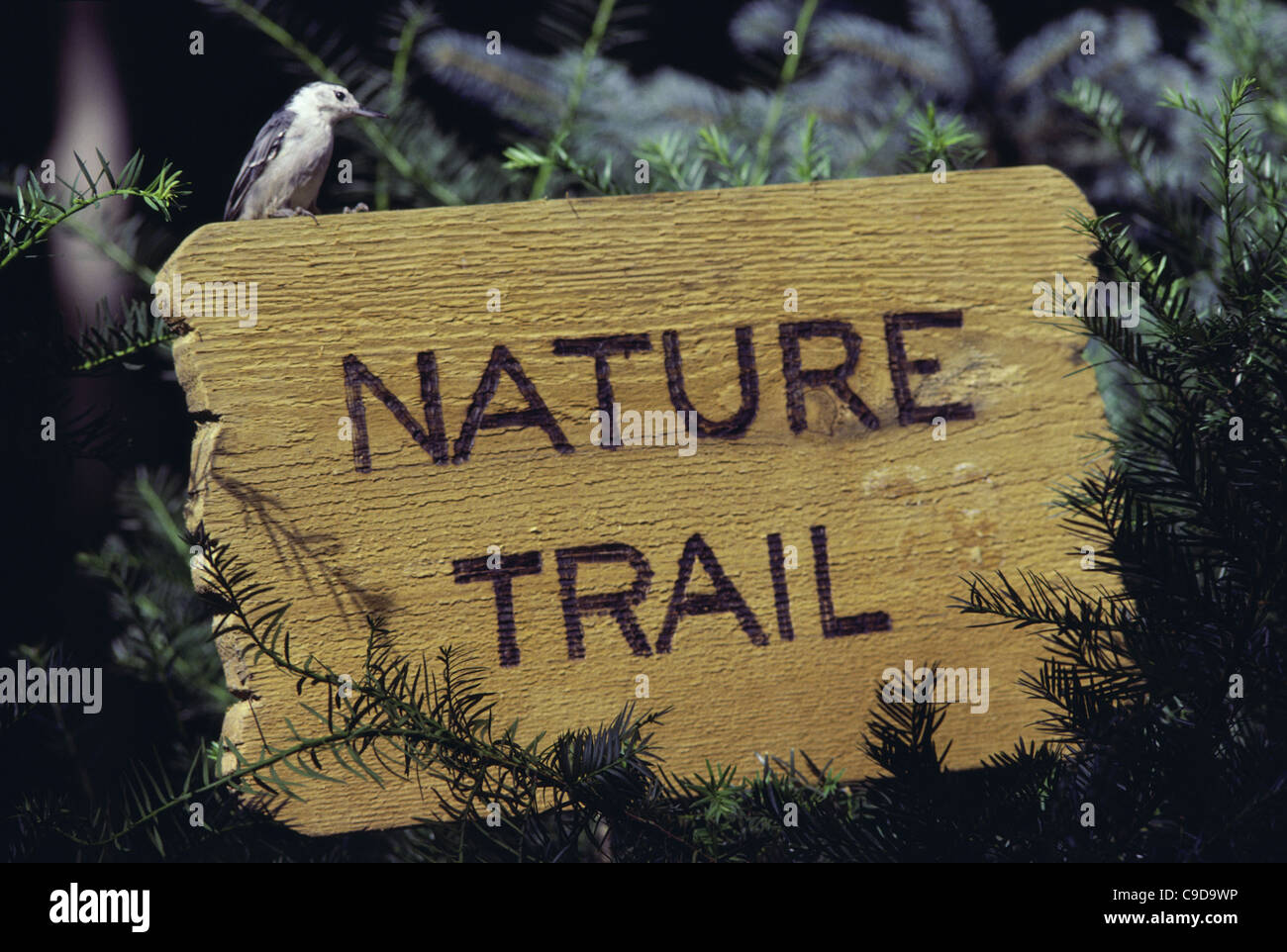 Nature trail sign Stock Photo - Alamy