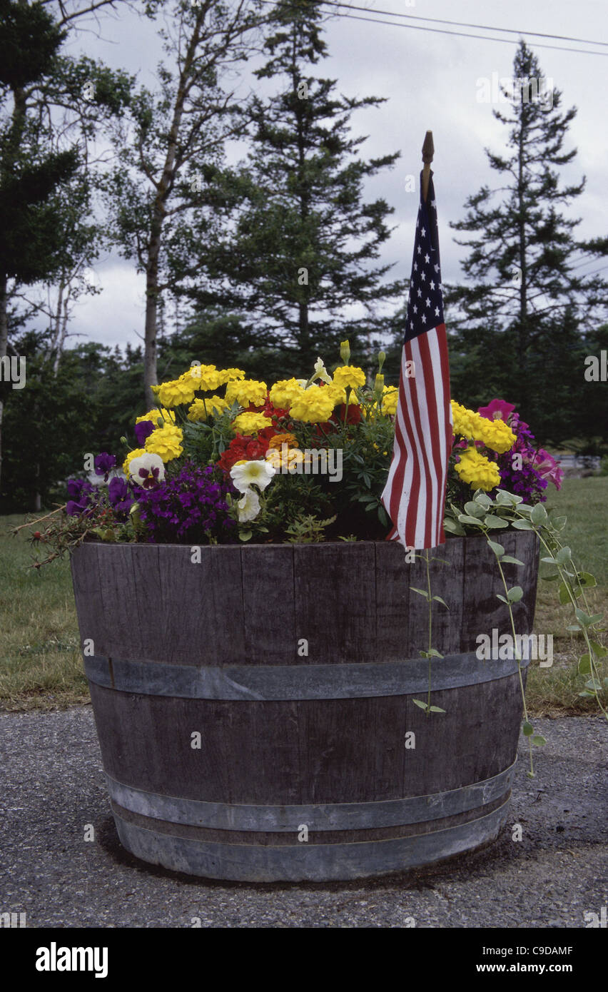 American flag flower pot hi-res stock photography and images - Alamy