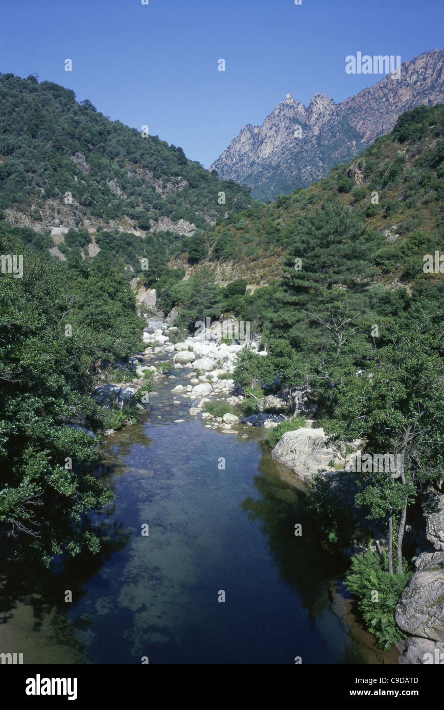 Mountain stream beauty hi-res stock photography and images - Alamy