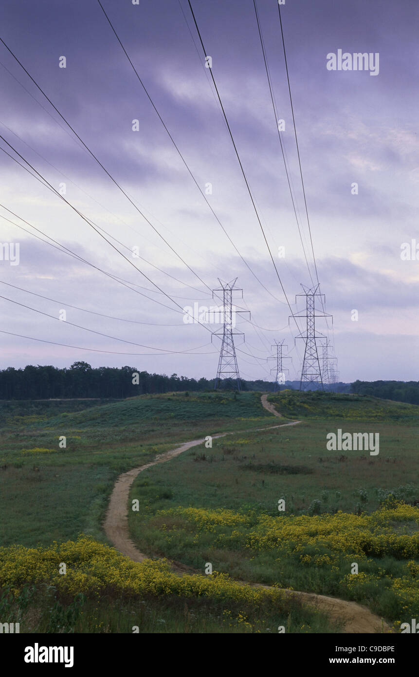 Electricity pylons in a field Stock Photo - Alamy