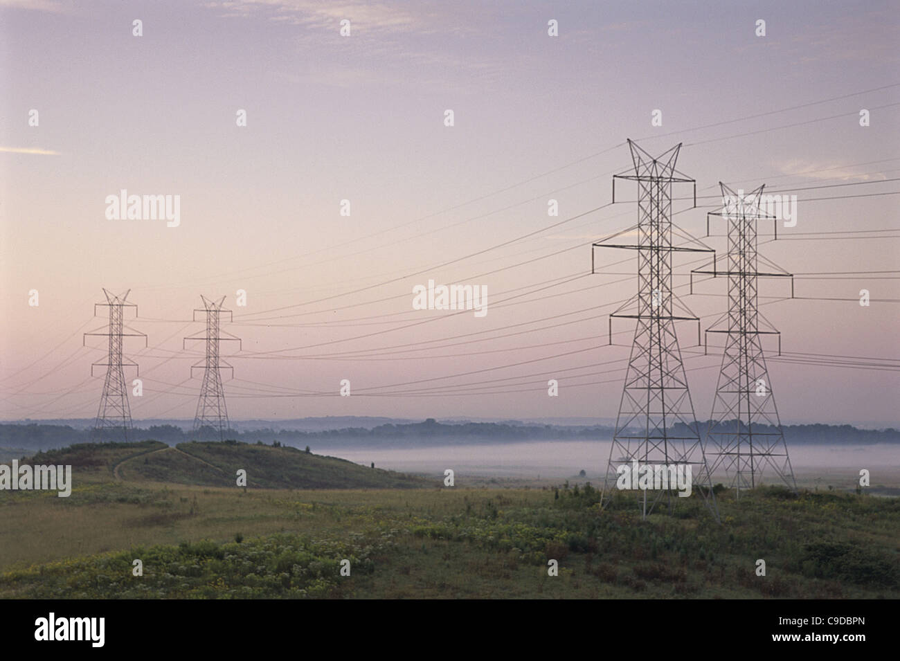 Electricity pylons in a field Stock Photo - Alamy