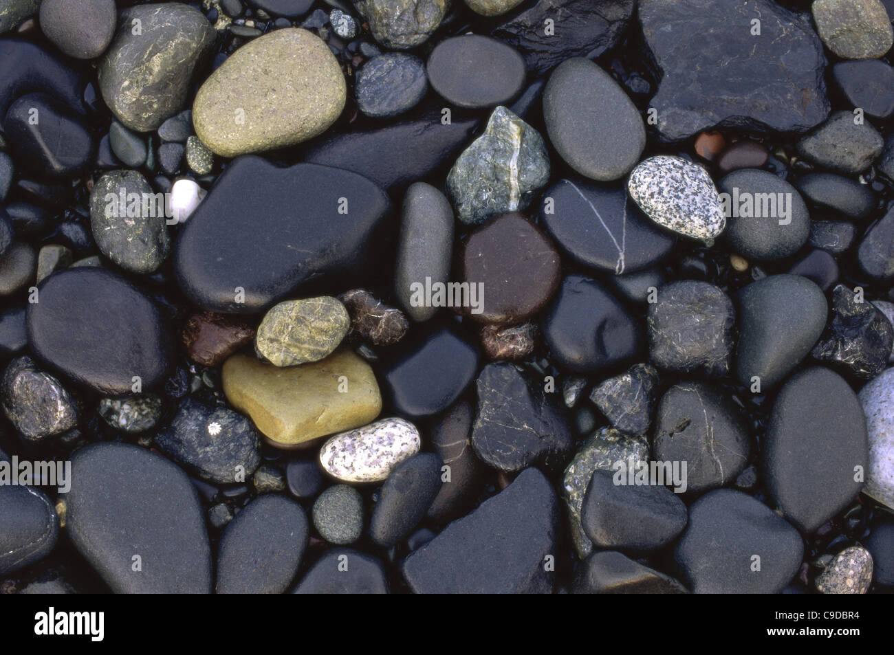Close-up of rounded pebbles Stock Photo - Alamy