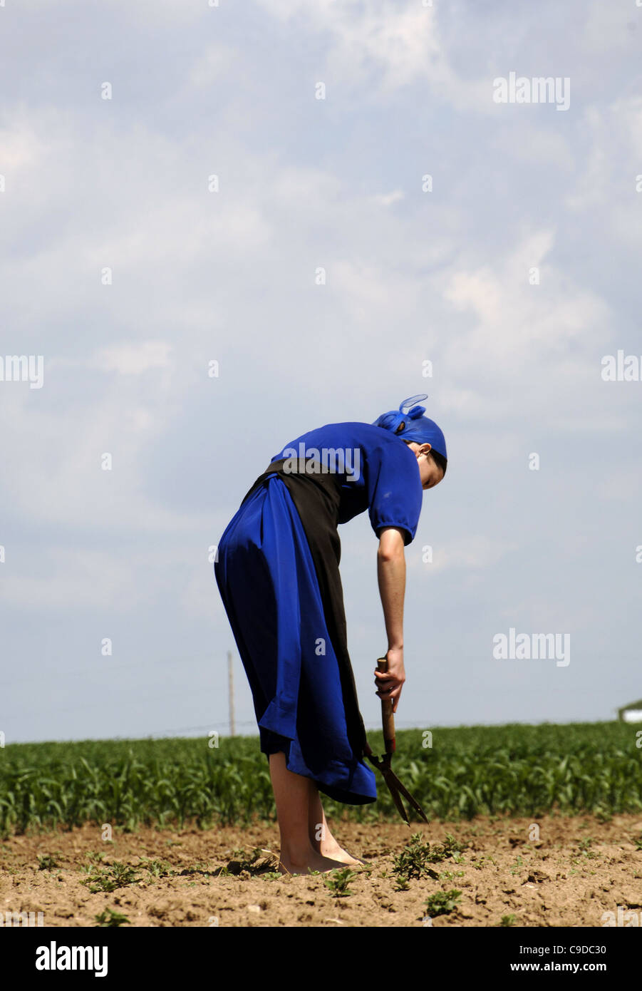 Barefoot amish farmer hi-res stock photography and images - Alamy