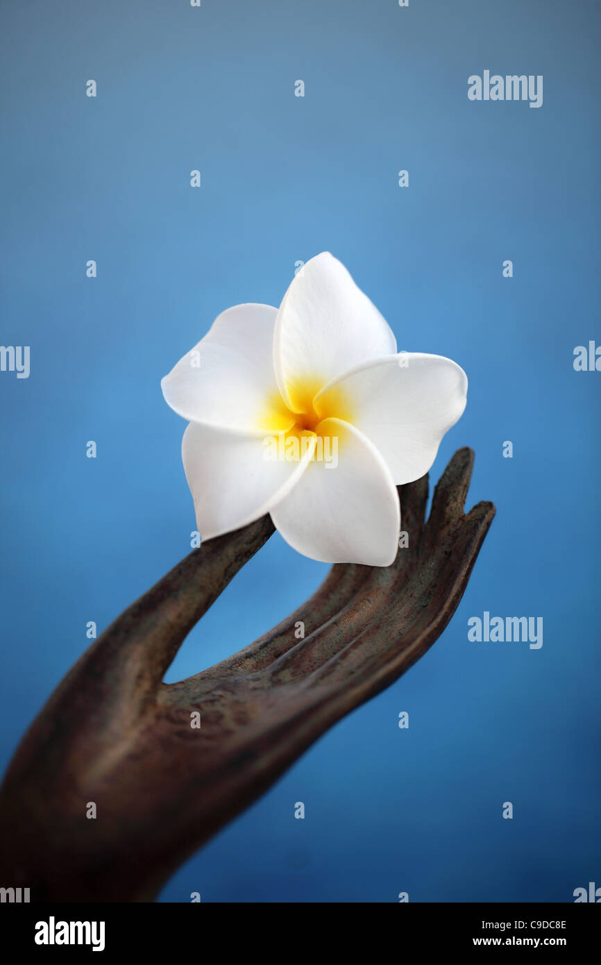 Statue Offering Flower High Resolution Stock Photography and Images - Alamy