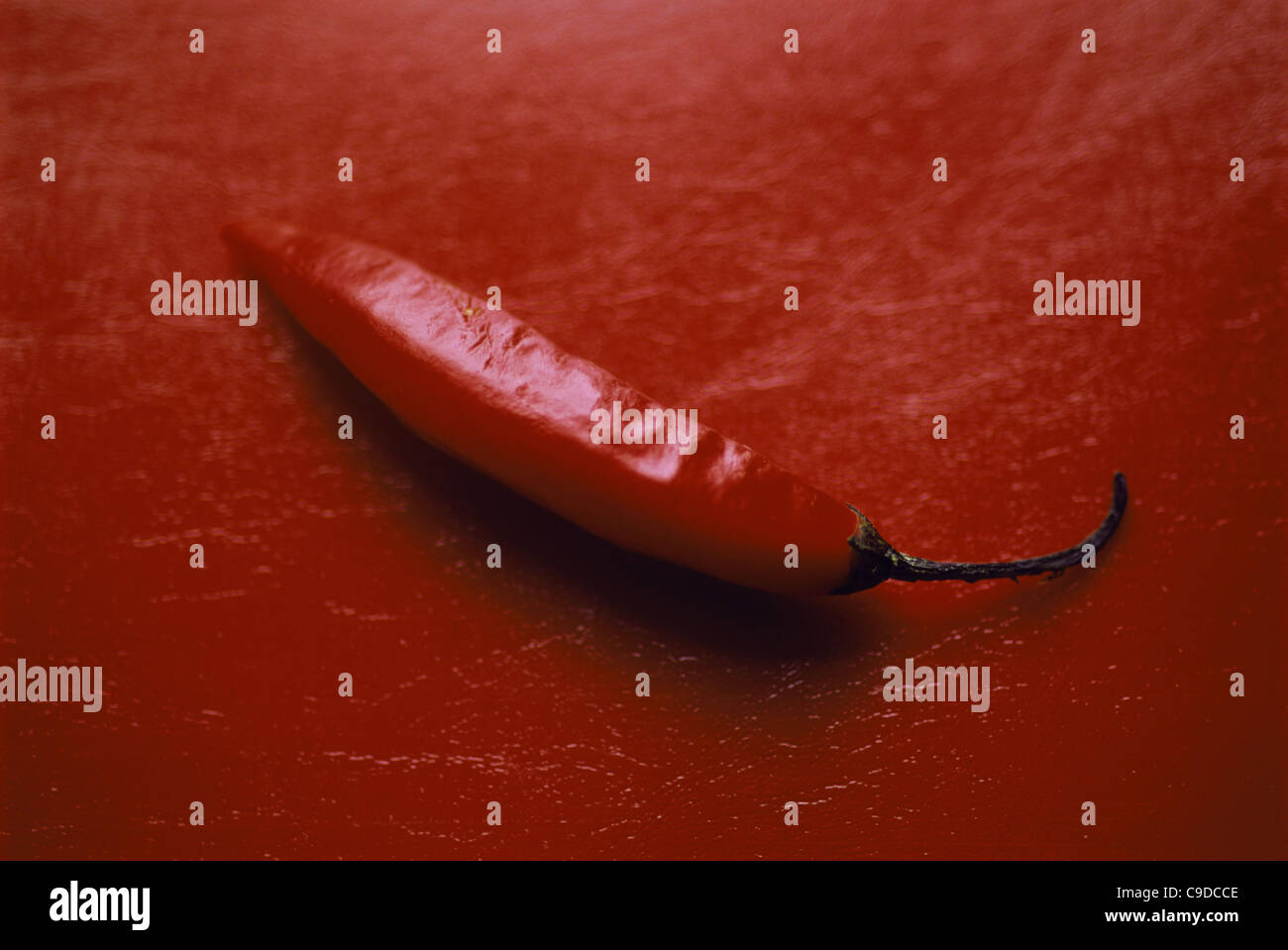 Close-up of a red chili pepper Stock Photo - Alamy