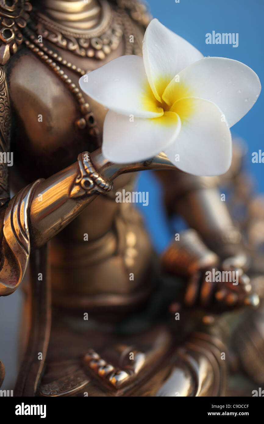 Buddha vajrasattva holds vajra in hi-res stock photography and images ...