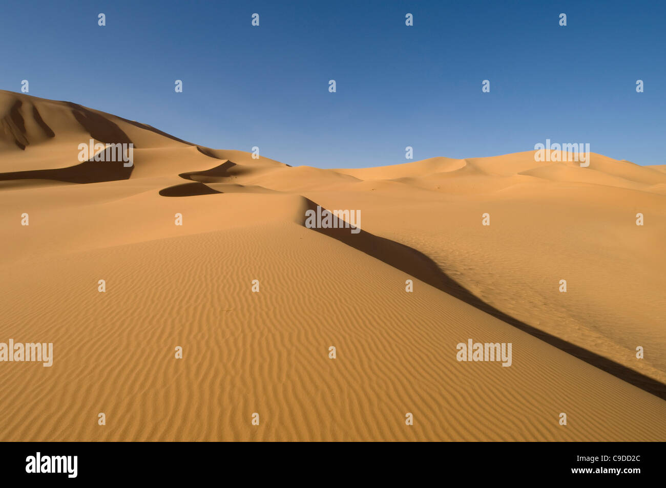 Sand dunes in a desert, Erg Awbari, Fezzan, Libya Stock Photo - Alamy