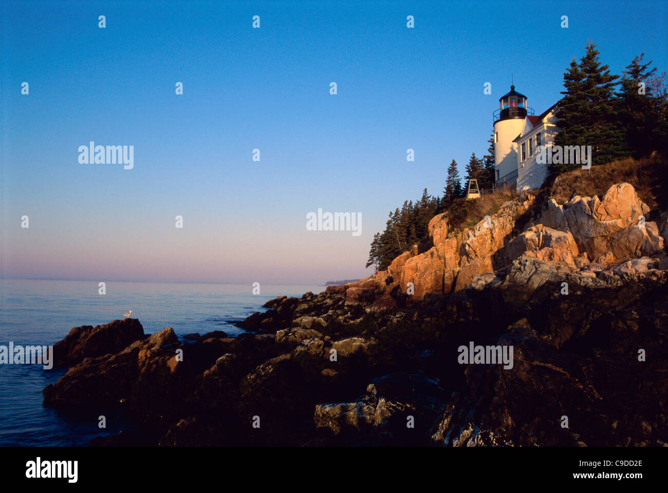 Low angle view of Bass Harbor Head Lighthouse, Mount Desert Island ...
