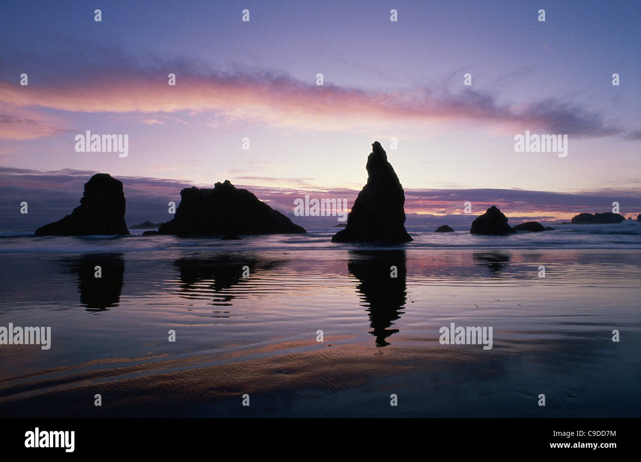 Rock formations on a beach during sunset, Bandon, California, USA Stock ...