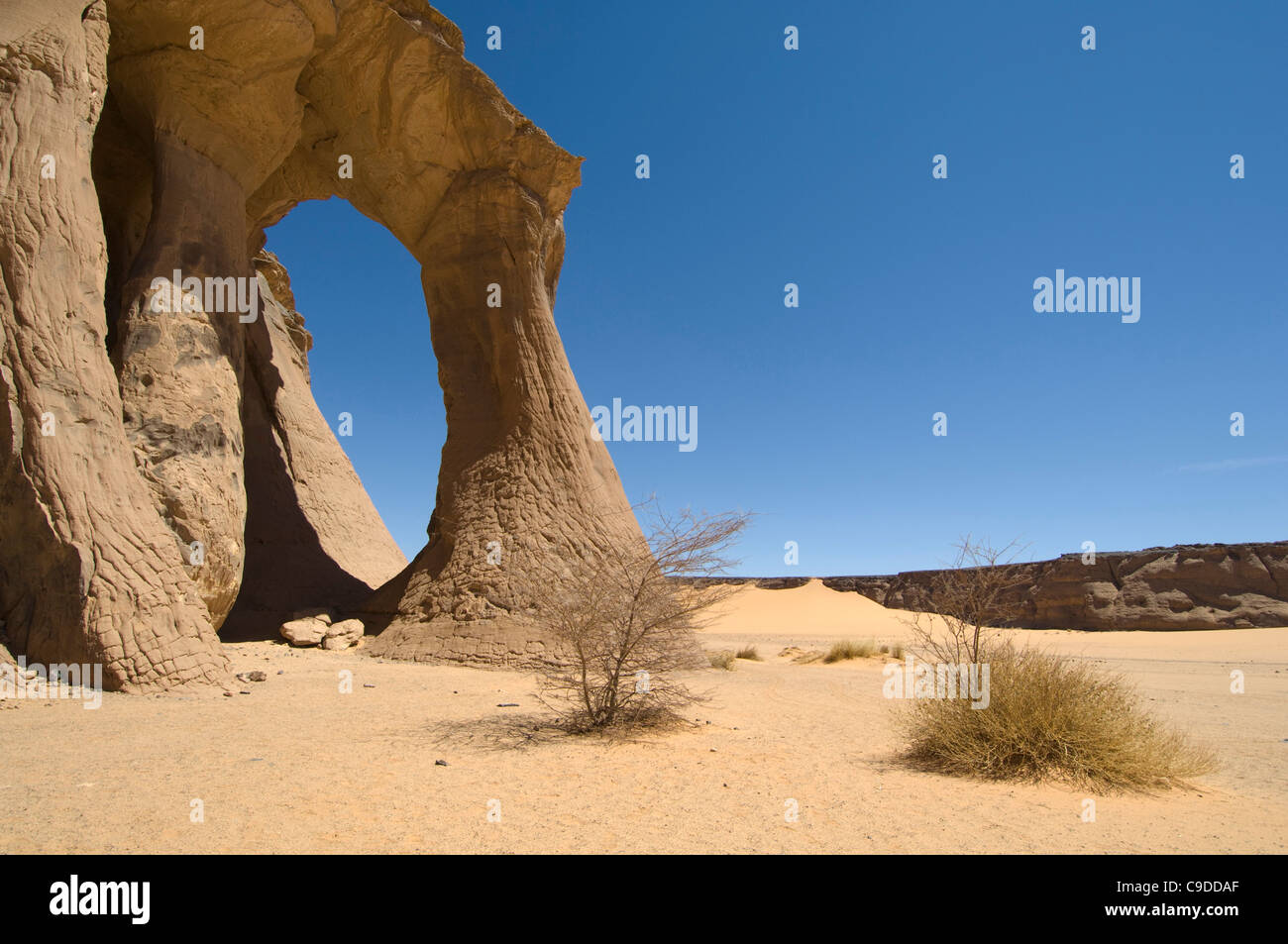 Natural arch formed in a desert, Fezzi Jaren Arch, Wadi Teshuinat ...