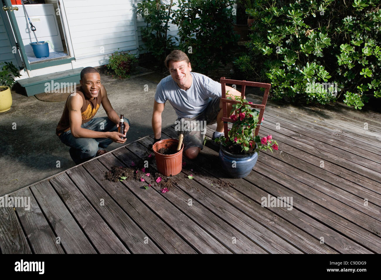 Young man moving plant to a new planter Stock Photo - Alamy