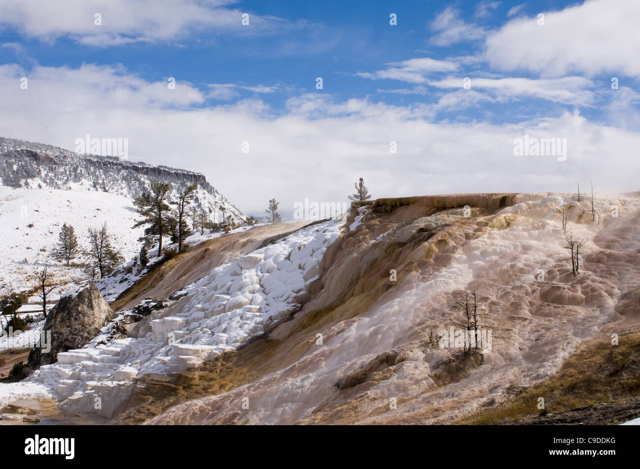 Hot spring covered with snow, Mammoth Hot Springs, Yellowstone National ...