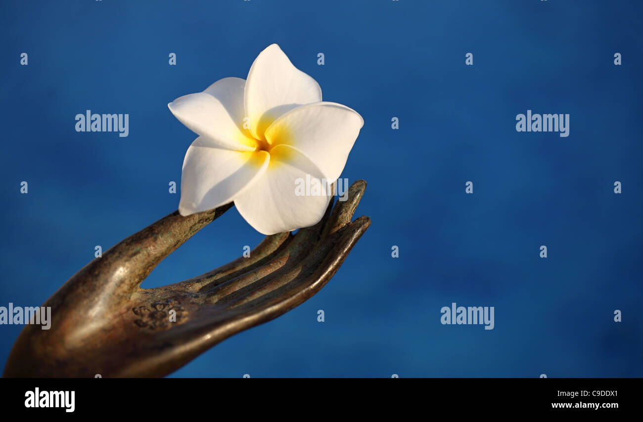 India flower offering hi-res stock photography and images - Alamy