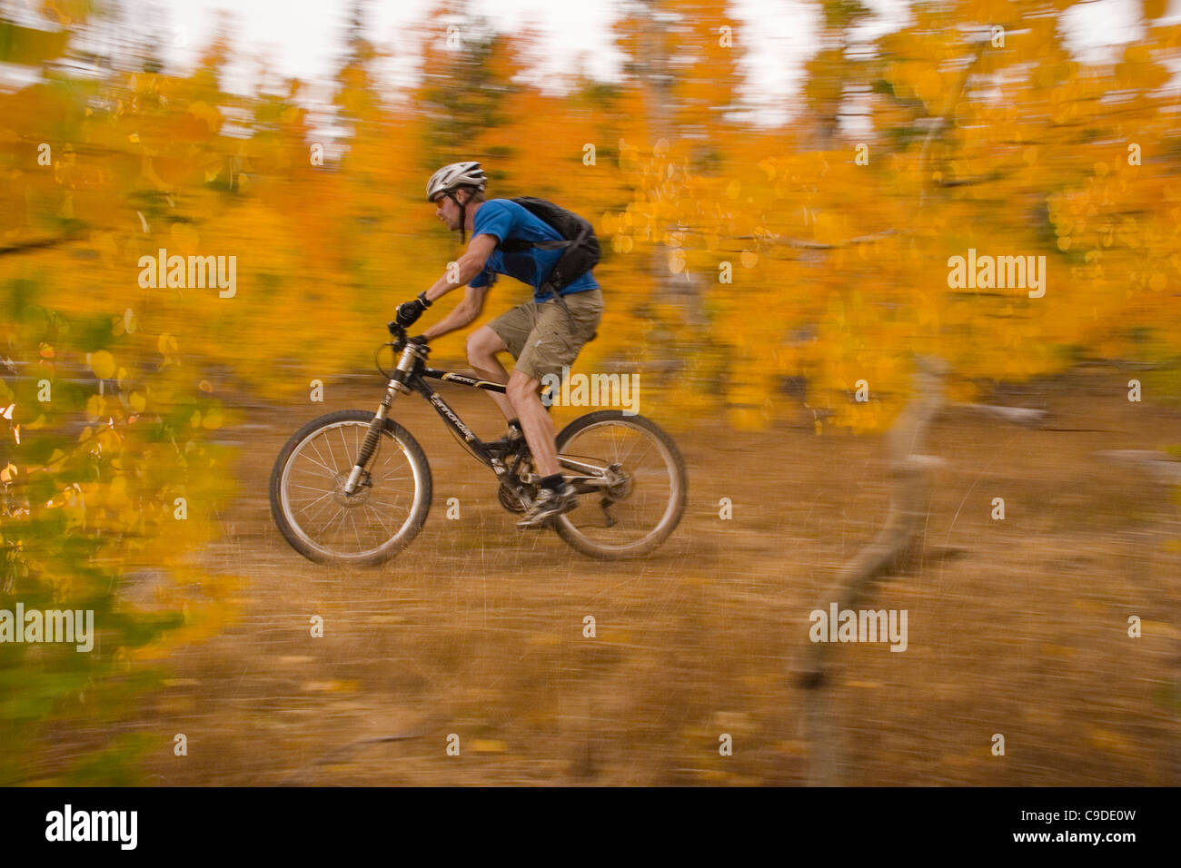 Side profile of a man mountain biking in a forest, Lake Tahoe ...