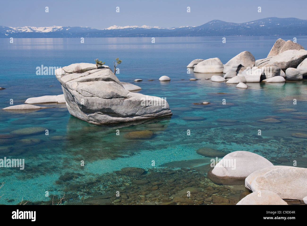 Bonsai lake tahoe hi-res stock photography and images - Alamy