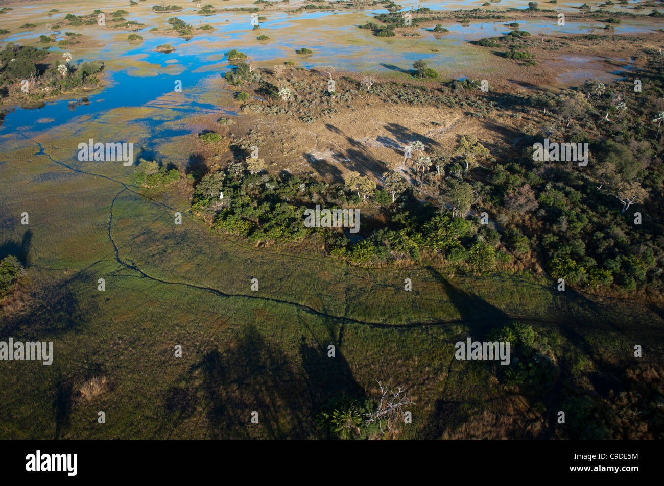 Aerial view of a delta, Okavango Delta, Botswana Stock Photo - Alamy