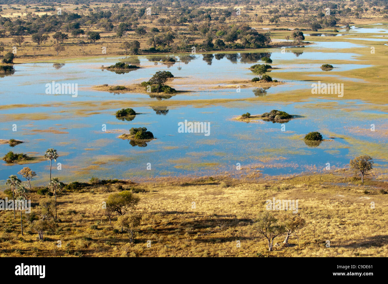 Aerial view of a delta, Okavango Delta, Botswana Stock Photo - Alamy