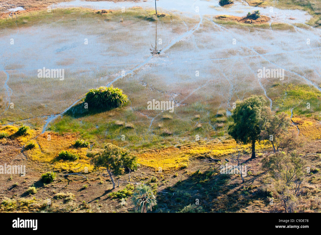 Aerial view of a delta, Okavango Delta, Botswana Stock Photo - Alamy
