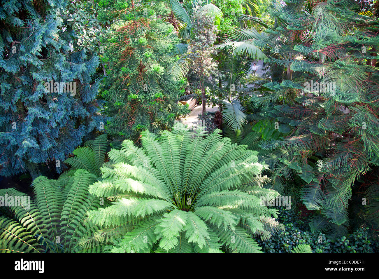 Aerial view kew garden uk hi-res stock photography and images - Alamy