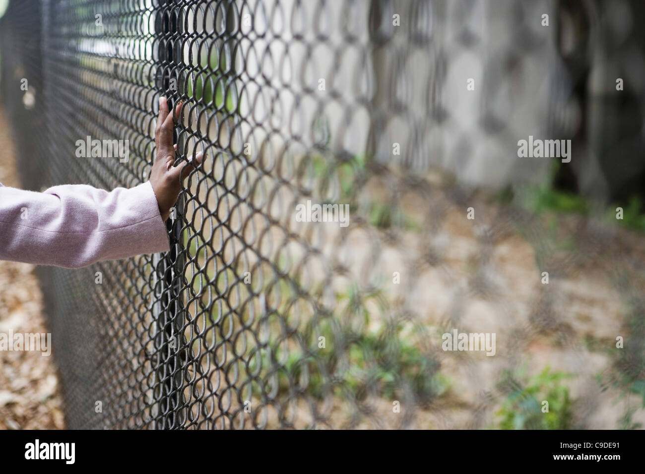 Hand on the fence hi-res stock photography and images - Alamy