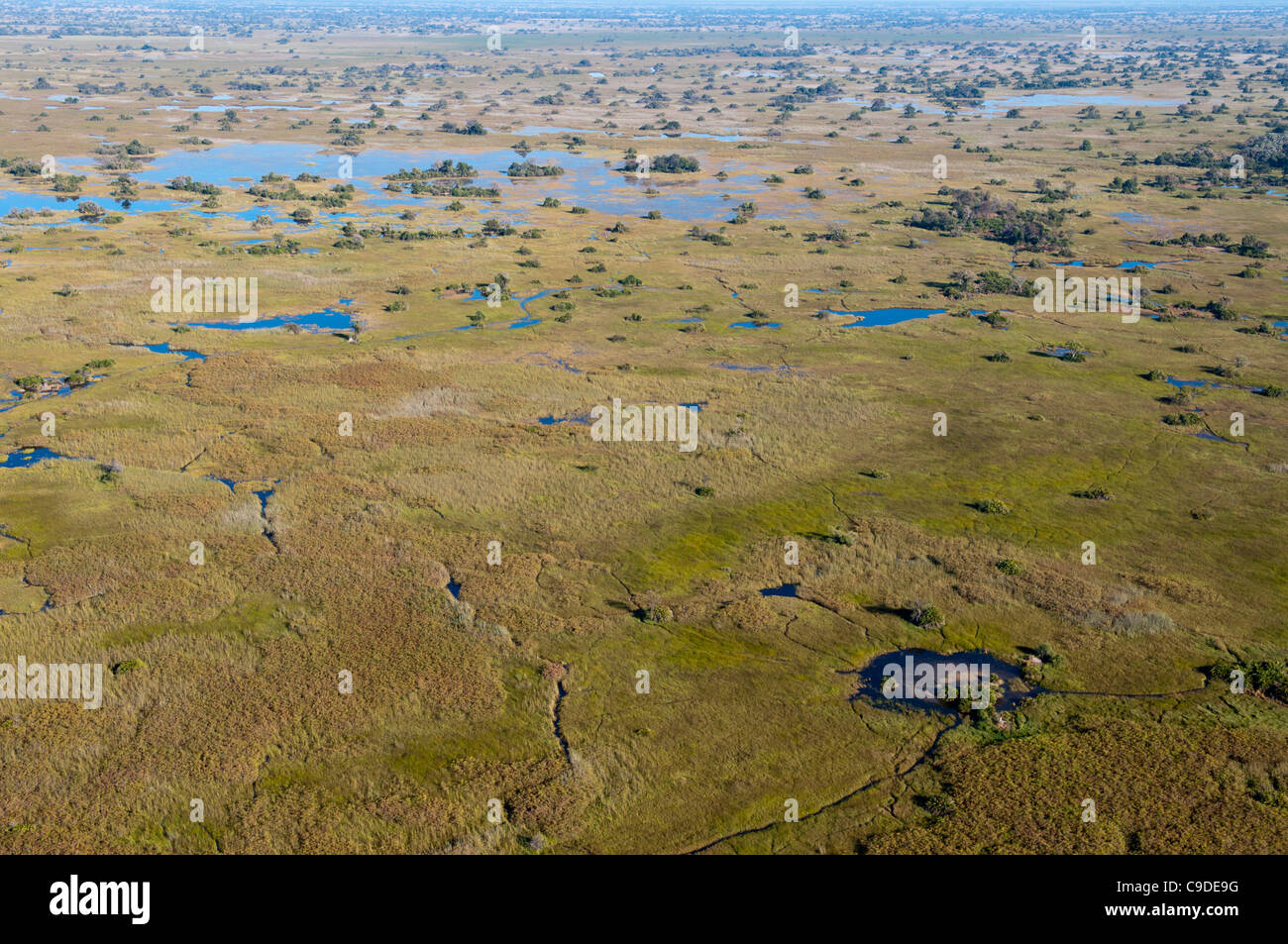 Aerial view of a delta, Okavango Delta, Botswana Stock Photo - Alamy