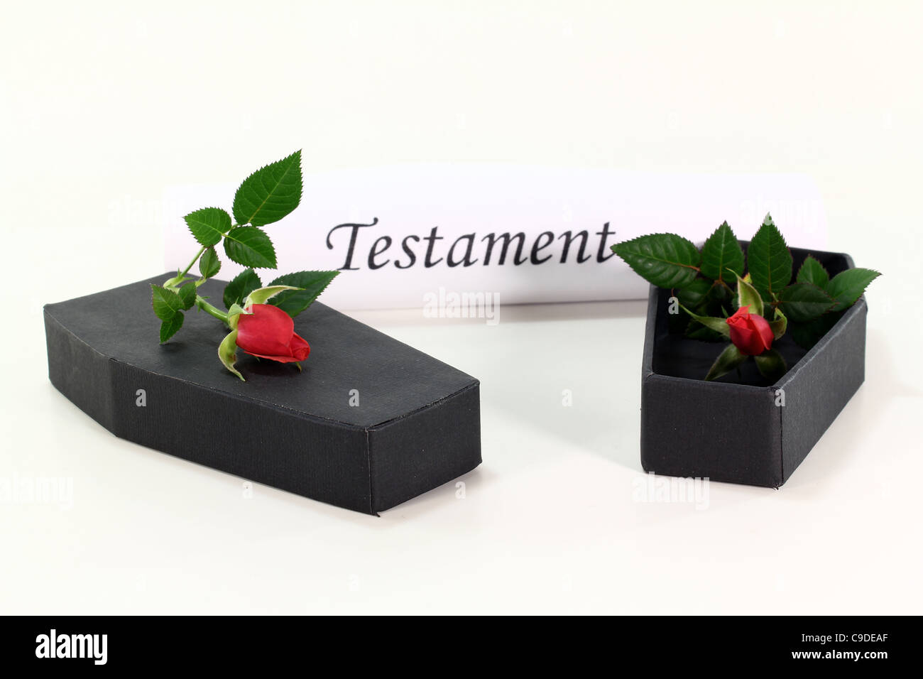 Rose court Cut Out Stock Images & Pictures - Alamy