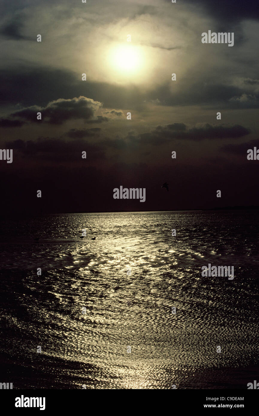 Moonlight reflecting on a lake Stock Photo - Alamy