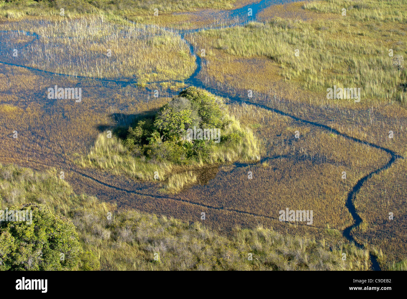 Aerial view of a delta, Okavango Delta, Botswana Stock Photo - Alamy