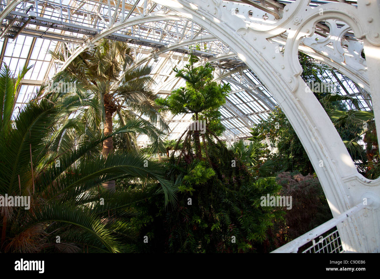 Temperate House Architecture at Kew Gardens Stock Photo - Alamy