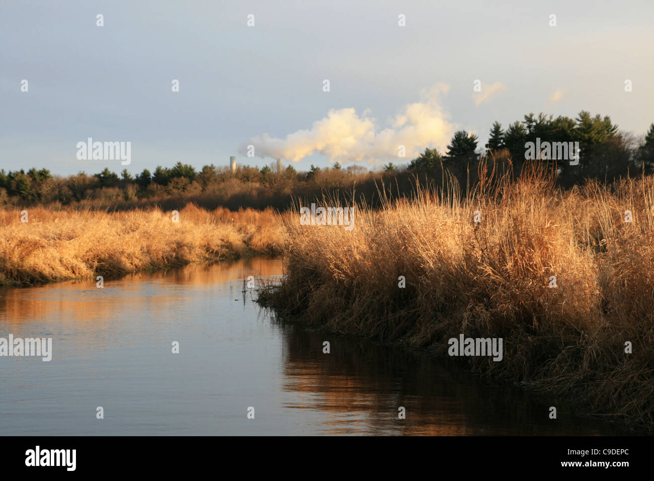 a marshy section along the upper Charles river in the late fall with ...