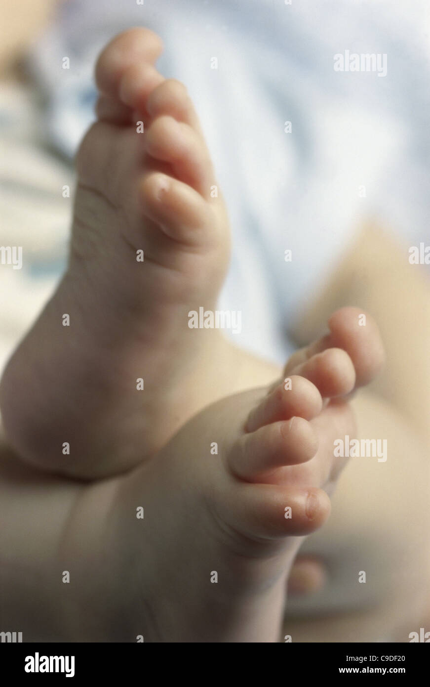 Low section view of a baby's feet Stock Photo - Alamy
