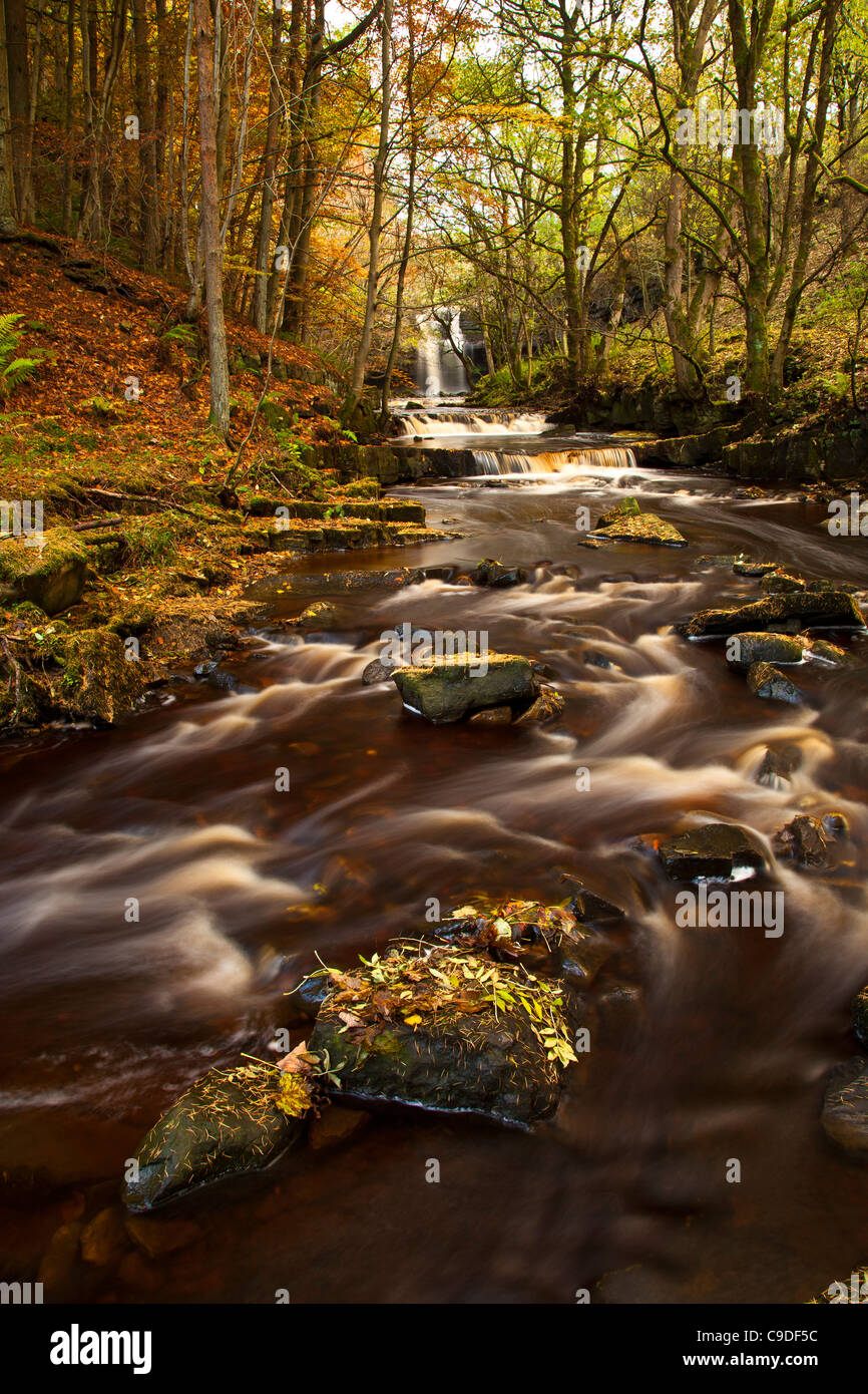 Gibson's Cave and Summerhill Falls, Bowlees Nature Reserve, Teesdale ...