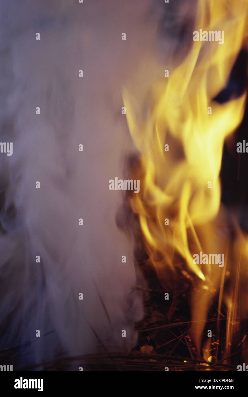 Flames of a fire Stock Photo - Alamy