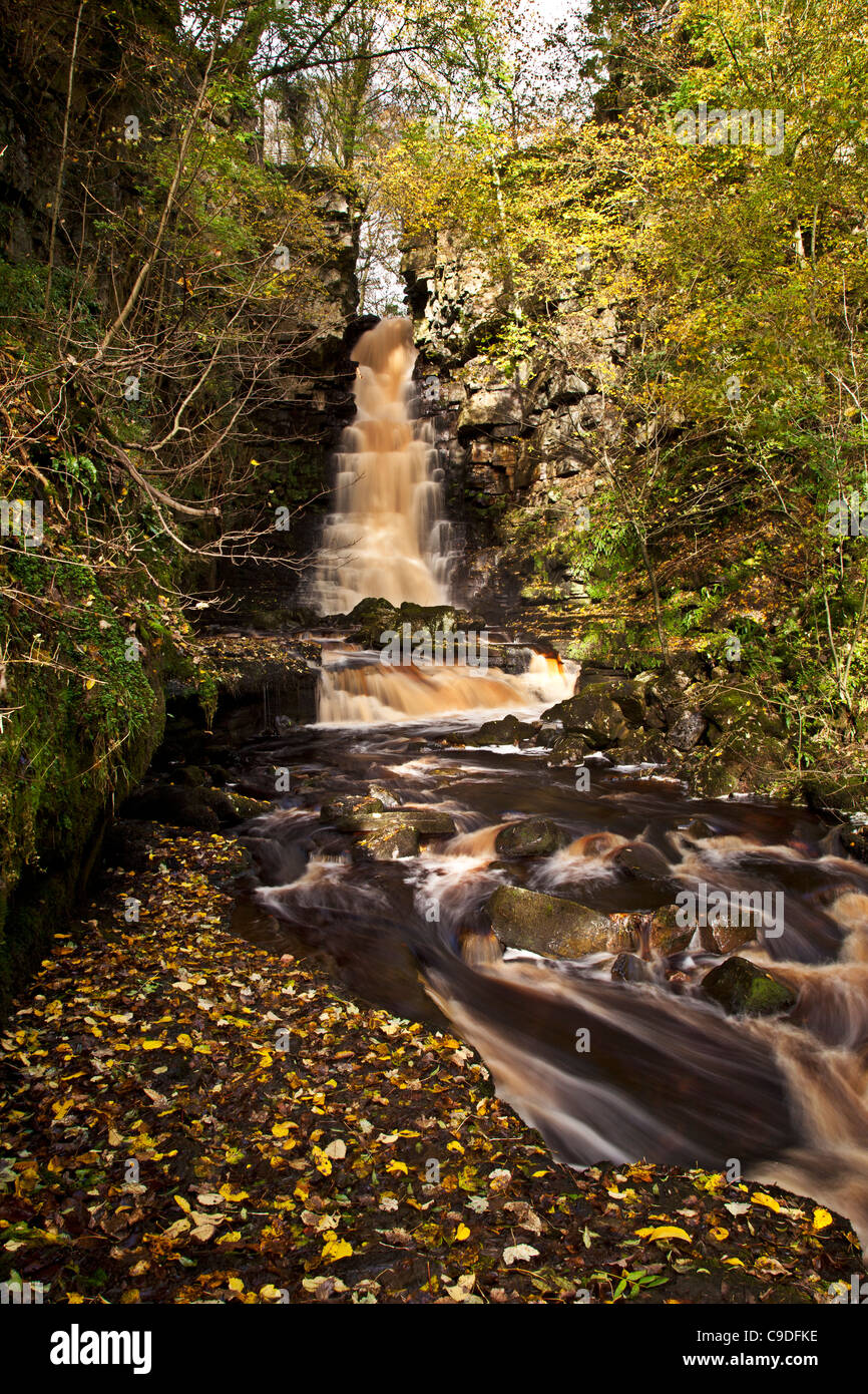 Mill Gill Force, Whitfield Beck, Askrigg, Wensleydale, Yorkshire Dales ...