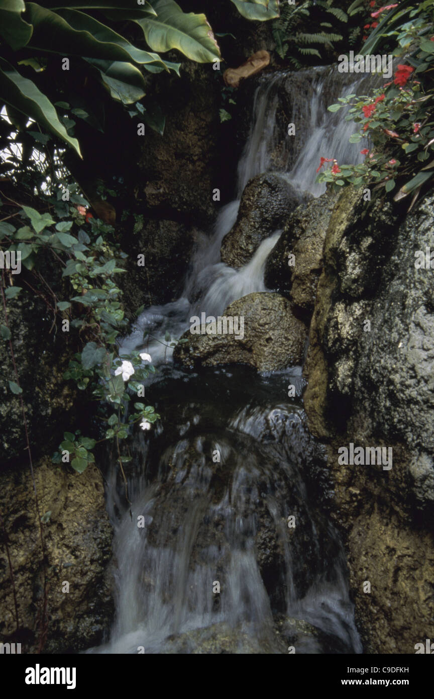 Waterfall, Florida, USA Stock Photo - Alamy